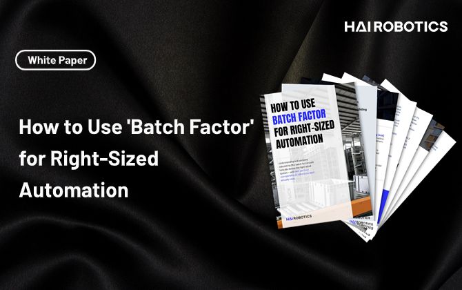 How to Cruise Through Peak Season With Flexible Automation | Video